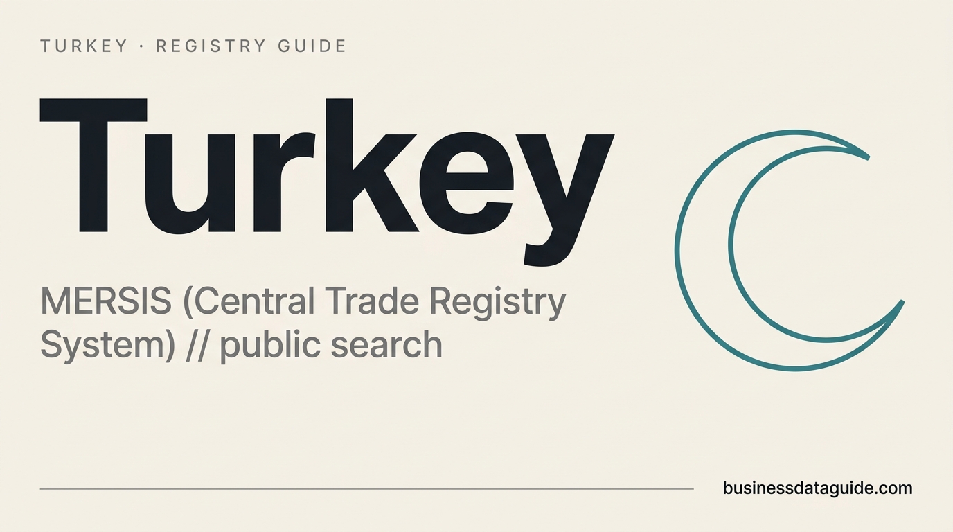 Turkey Company Search Guide 2026: How to Verify a Turkish Business ...