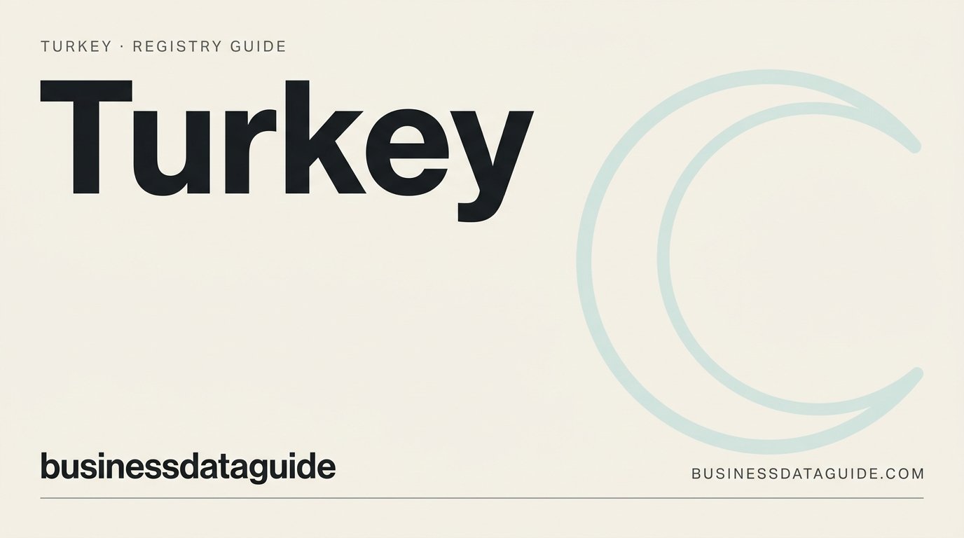 Turkey Company Search Guide 2026: How to Verify a Turkish Business ...
